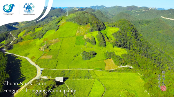 Tour Tianjiang's Dao Di Farms with Treasure of the East!